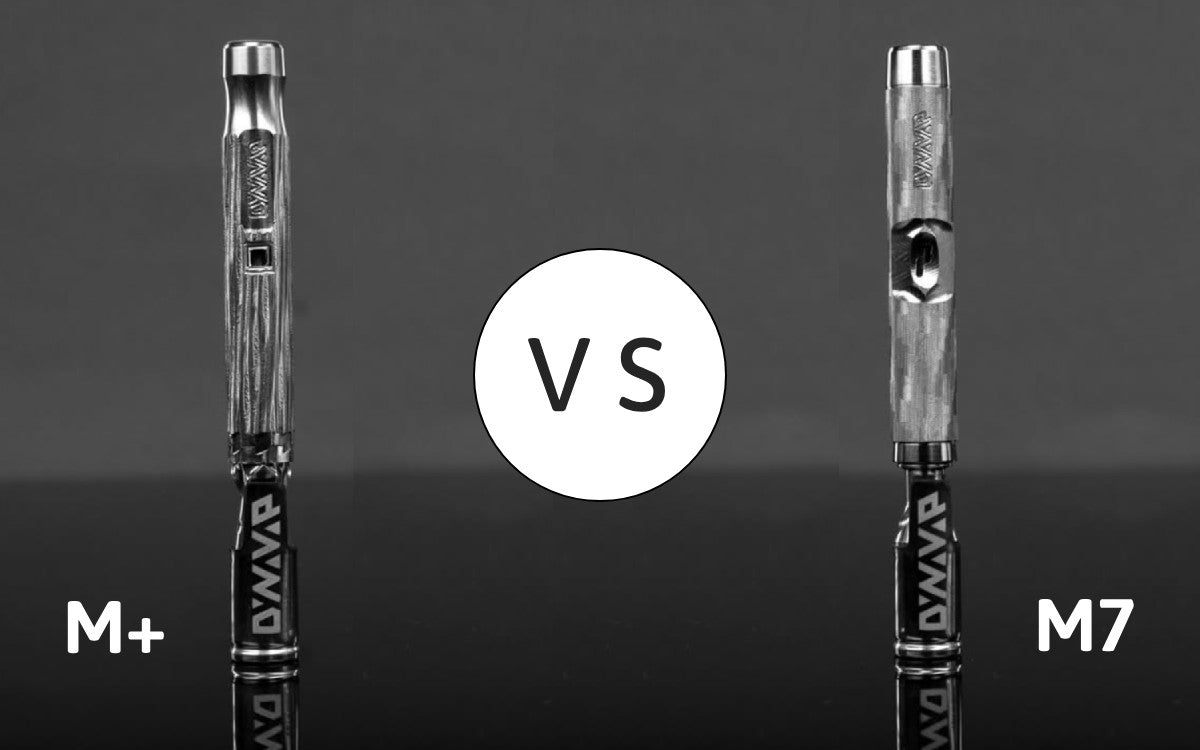 Dynavap M7 vs M Plus - Who is the Champoin? – Herbalize Store EU