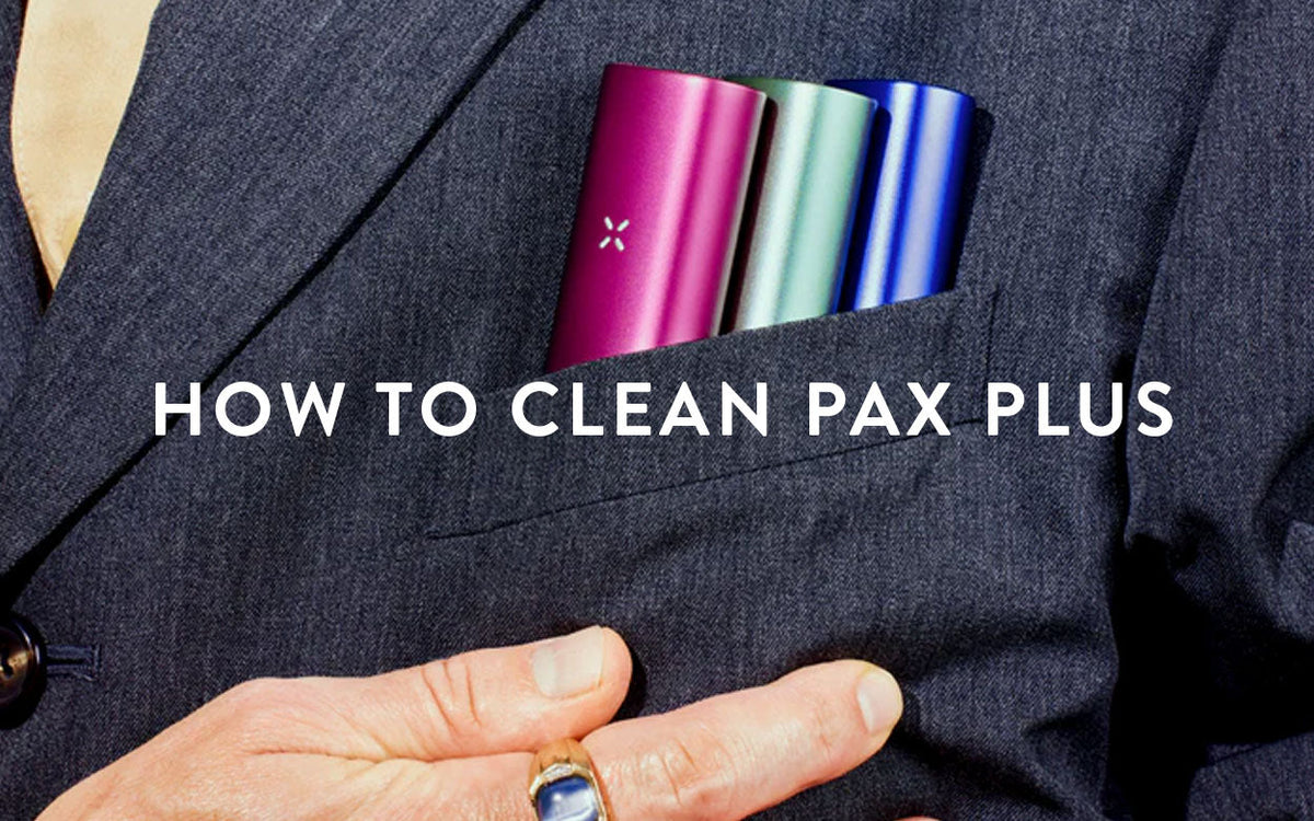 How to Clean Your Pax Plus Vaporizer? Your Step by Step Guide ...